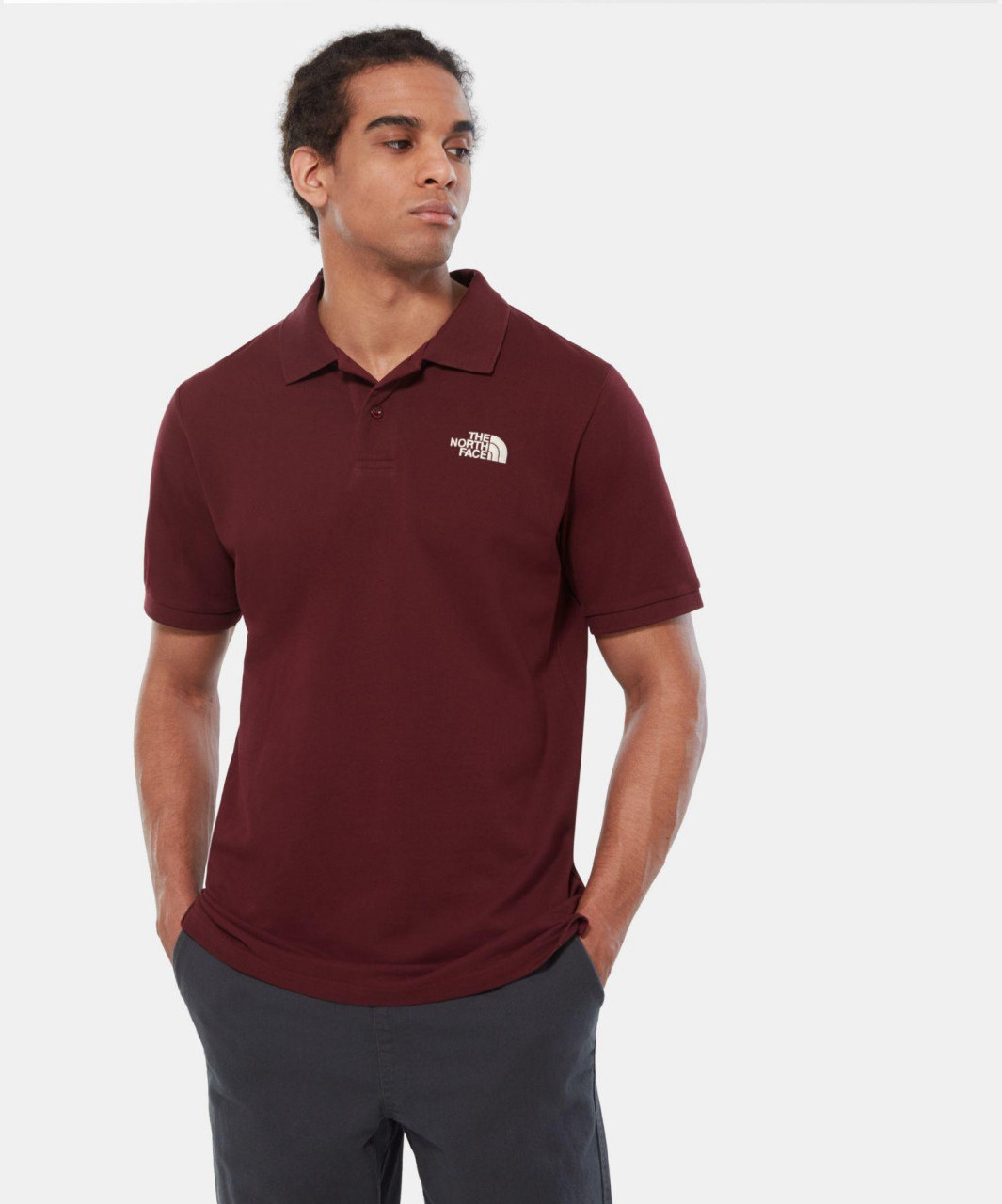 The North Face Men's Premium Piquet Polo Shirt garnet red desde 44,99 ...