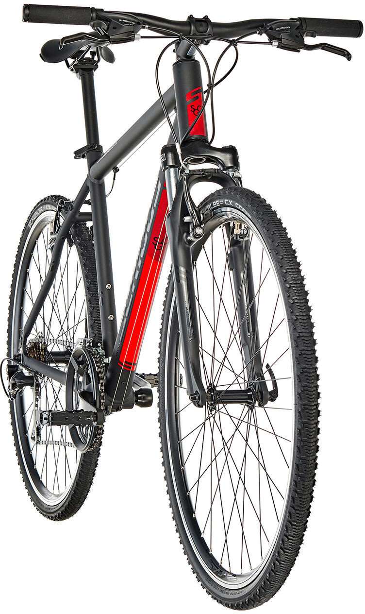 Serious Cedar Men black matt/rubin (2019) ab 329,00 € | Preisvergleich ...