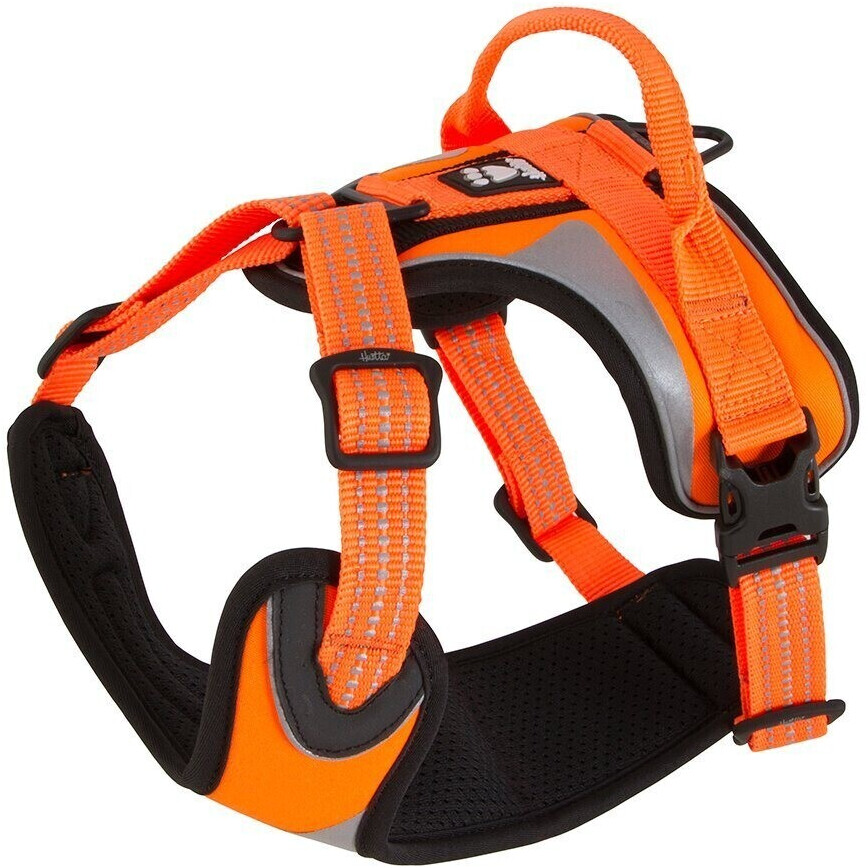 Hurtta Active Hundegeschirr 40-45cm orange ab 39,90 € | Preisvergleich ...