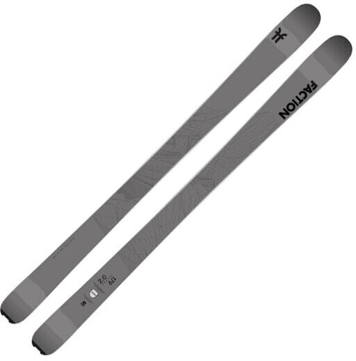 Faction Agent 2.0 (2021) ab 429,00 € | Preisvergleich bei idealo.de