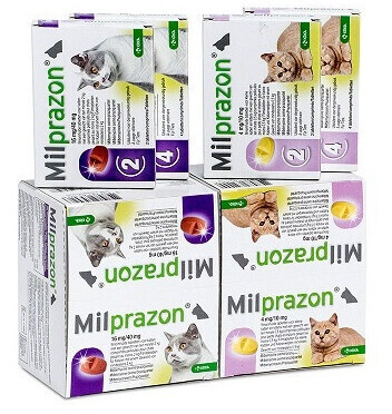 KRKA Milprazon Katze ab 10,65 € (Juli 2025 Preise) | Preisvergleich bei idealo.de