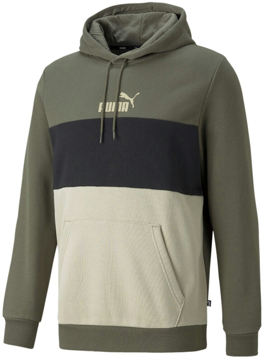 Puma Colorblock Hoodie green (587917-0044) ab 29,95 € | Preisvergleich ...