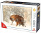 EDU-Toys Episkop Projektor ab 63,90 € | Preisvergleich bei idealo.de