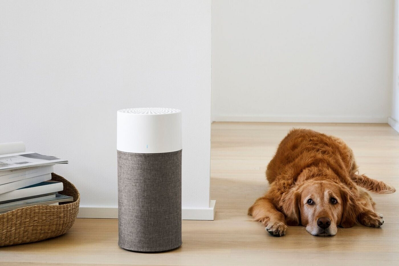 Blueair blue 3210 air purifier store