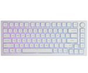 Buy Glorious Gaming GMMK Pro TKL Barebone ANSI-Layout White Ice from £ ...