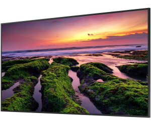 Buy Samsung QB50B from £702.99 (Today) – Best Deals on idealo.co.uk