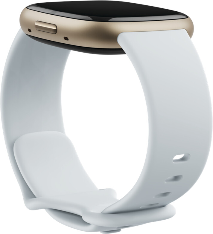 Fitbit Sense 2 Bleu brumeux/aluminium or pâle au meilleur prix sur ...