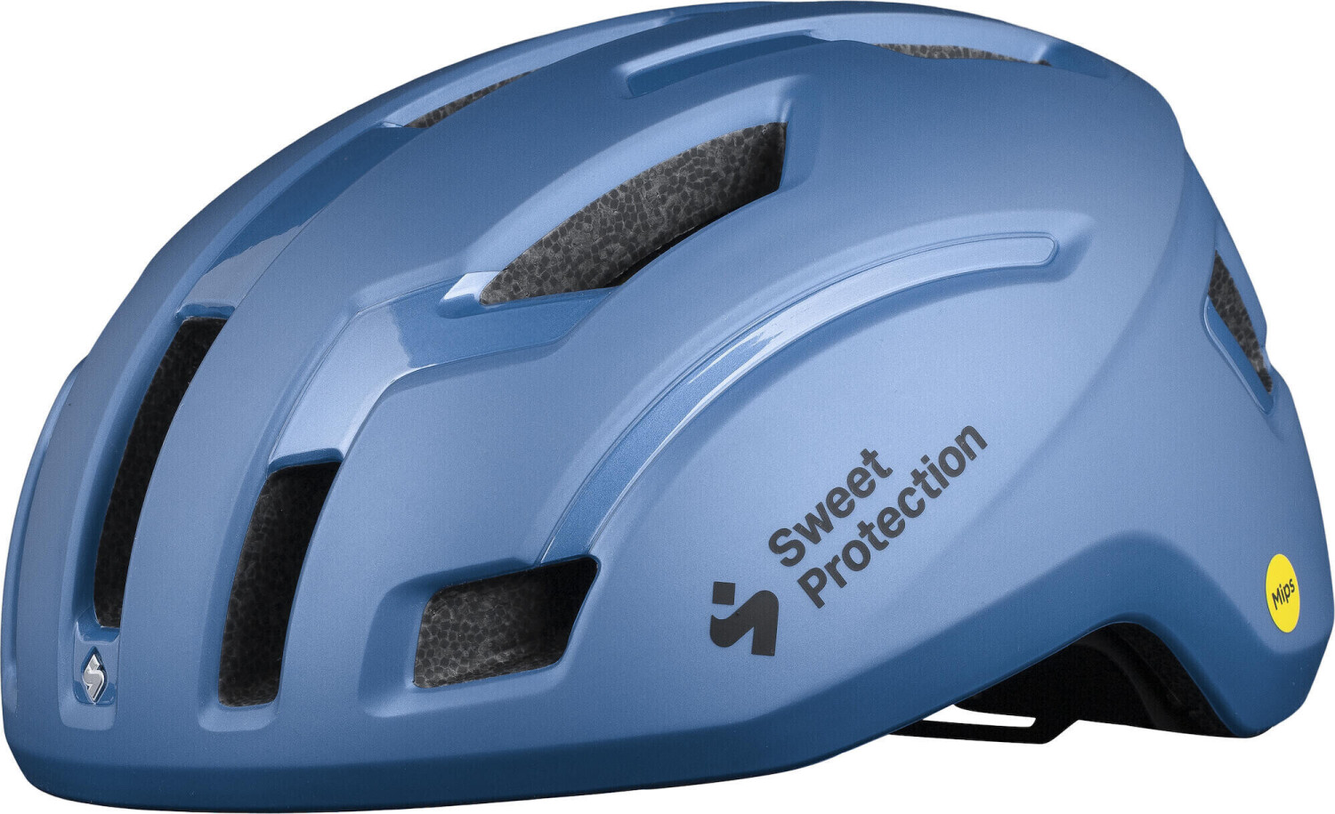 Sweet Protection Seeker Mips Helmet blue ab € 44,64 | Preisvergleich ...