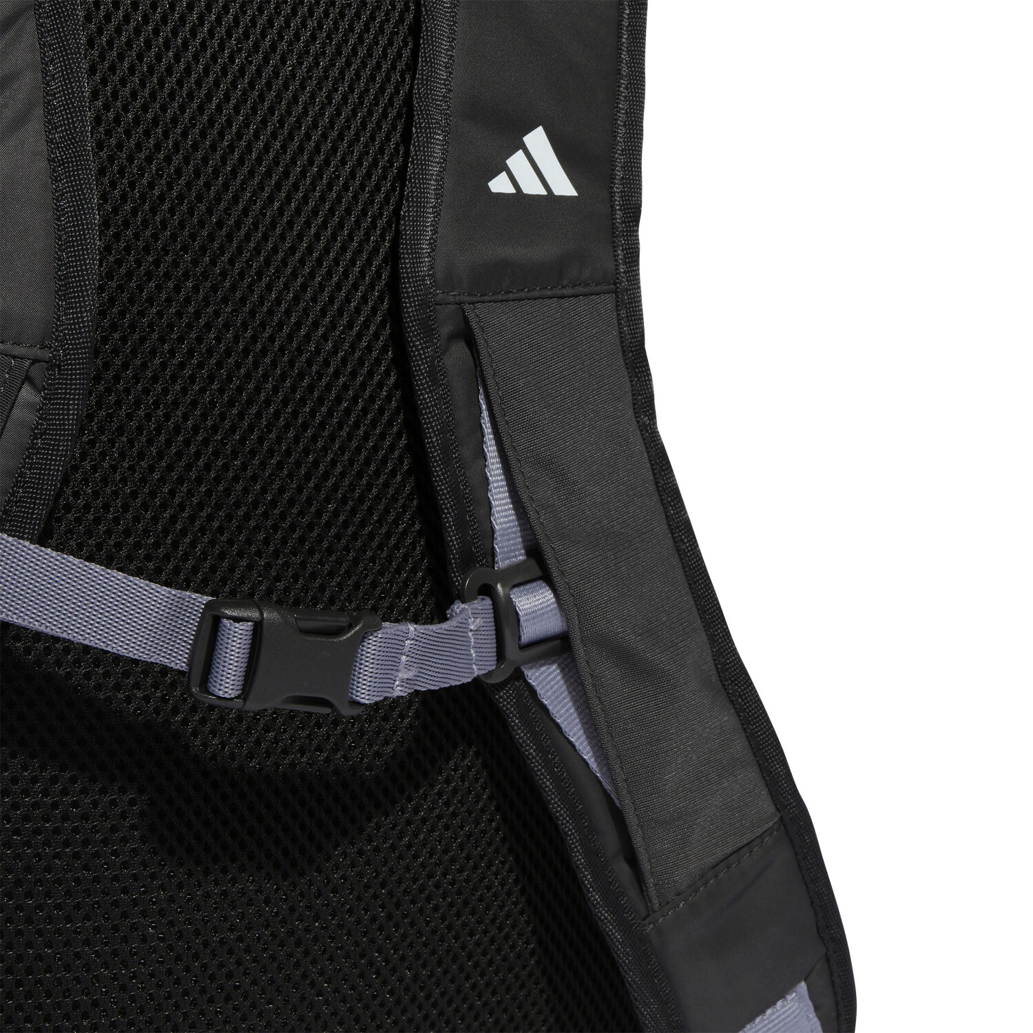 Adidas Designed for Training Gym carbon/carbon/black (HT2435) ab 55,00 ...