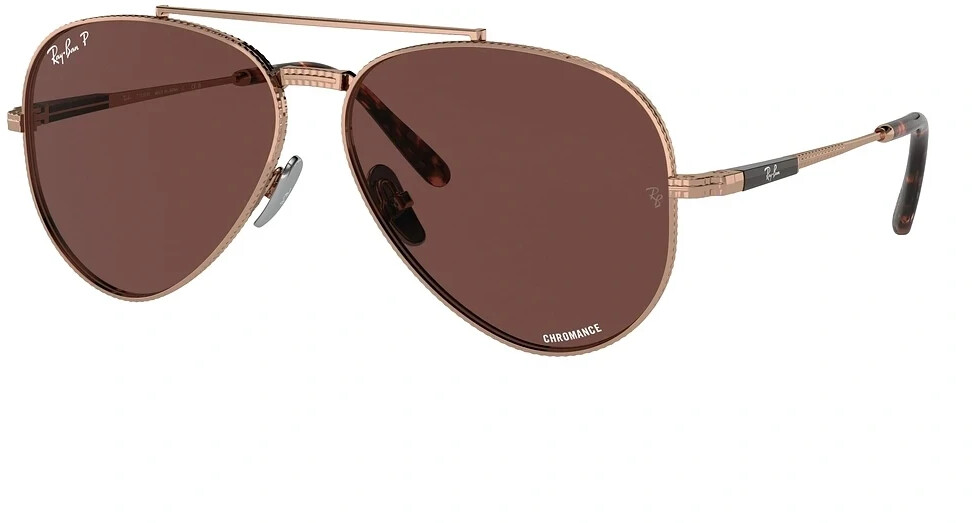 Ray-Ban Aviator II Titanium RB8225 3140AF ab 440,00 € | Preisvergleich ...