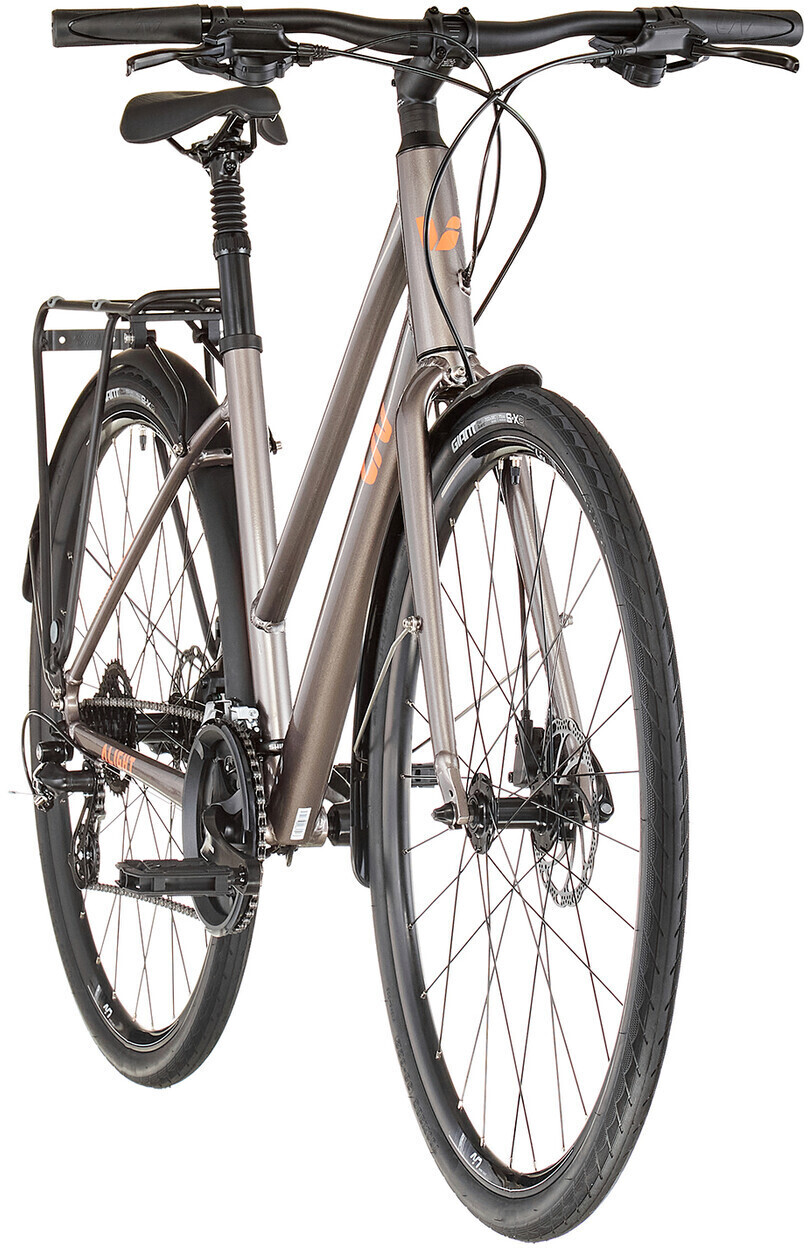 Liv Alight (2023) grey ab 499,00 € | Preisvergleich bei idealo.de