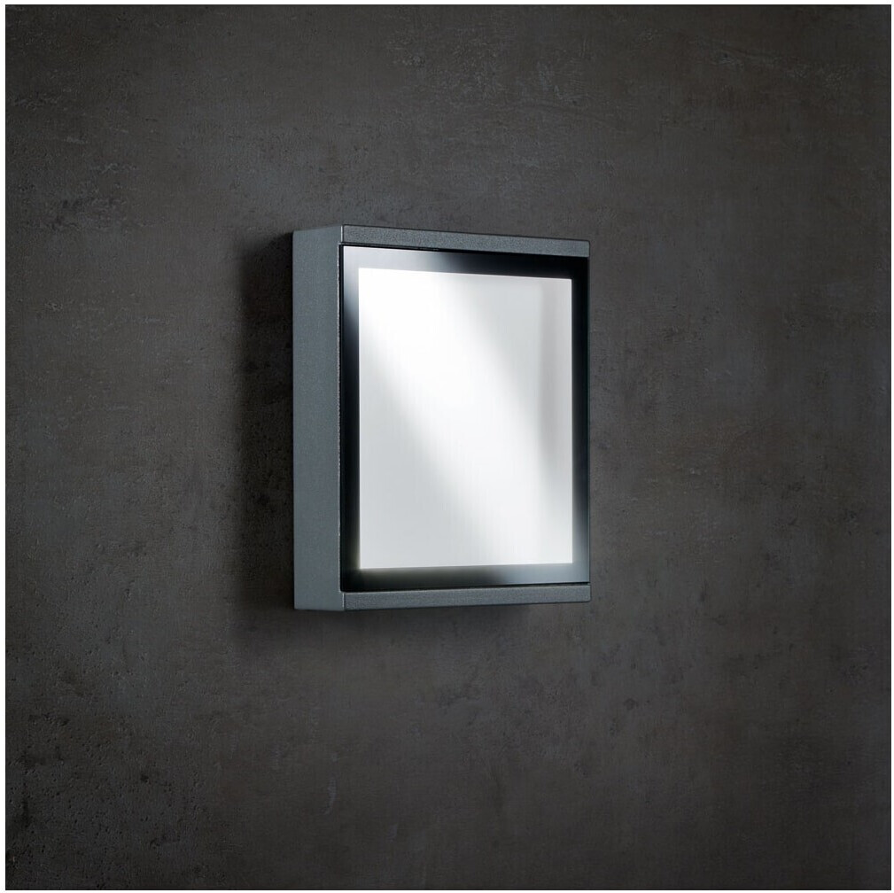 Licht-Trend Window LED-Außenwandleuchte 380lm Anthrazit ab 109,00 ...