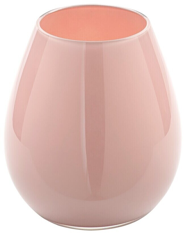 Fink Dena 17cm rose ab 26,00 € | Preisvergleich bei idealo.de