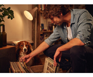 Osram LED Parathom Classic A Filament 4-40W/827 E27 470lm matt warmweiß nicht dimmbar ab 2,48 ...