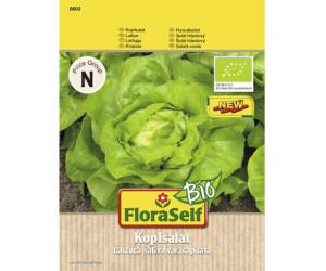FloraSelf Bio Bio Kopfsalat Suzan samenfestes Saatgut (6603) ab 3,49 ...