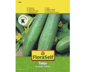 FloraSelf Salatgurke Tanja samenfestes Saatgut (6708) ab 2,99 ...