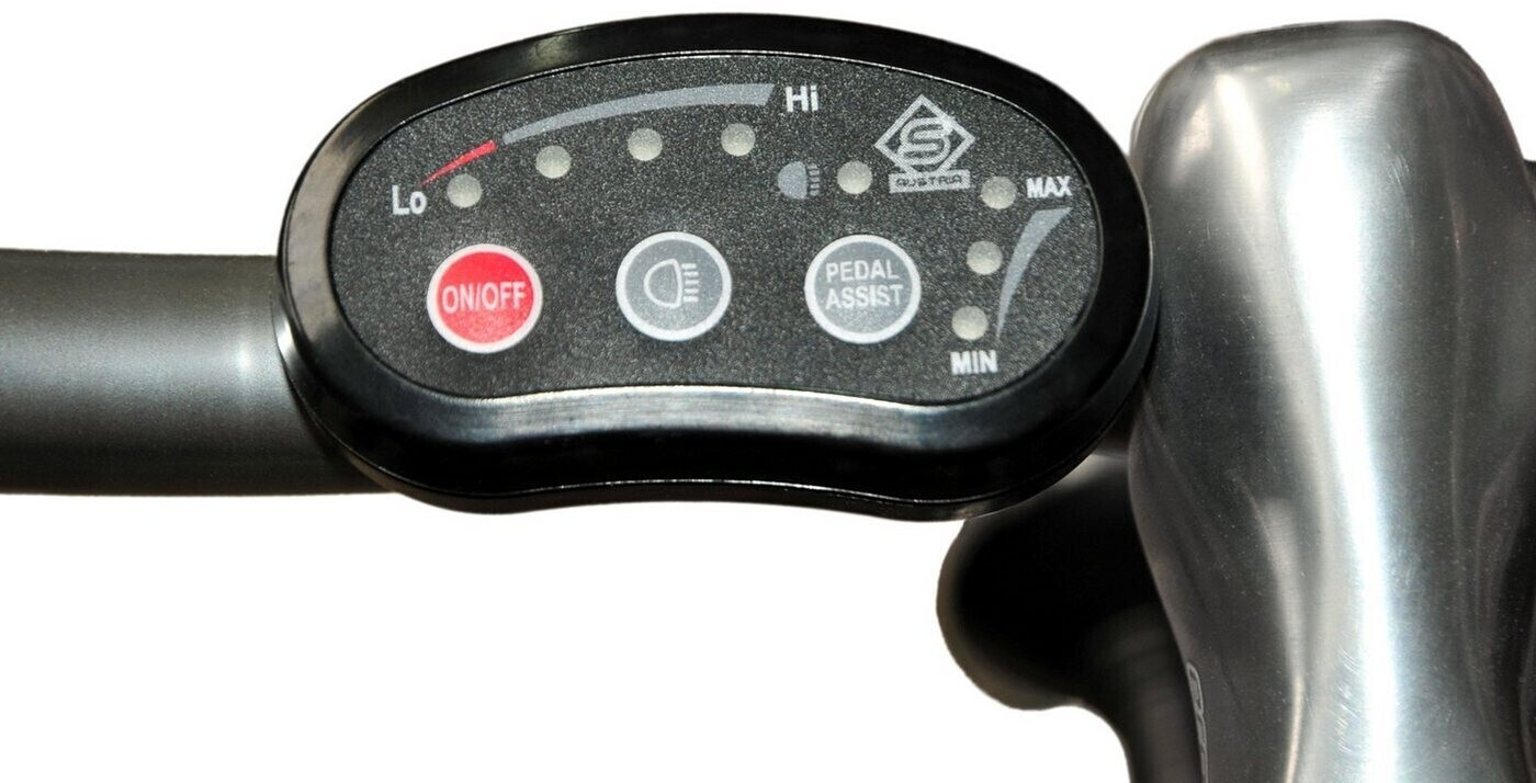 Wild Eagle Elektro Dreirad ECO 26/24 schwarz ab 2.279,05 € | Preisvergleich bei idealo.de