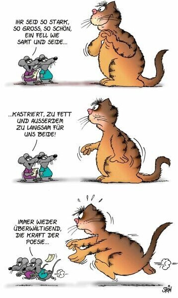 Lappan Uli Stein 2023/2024: Schülerplaner mit Spiralbindung ab 7,39 ...