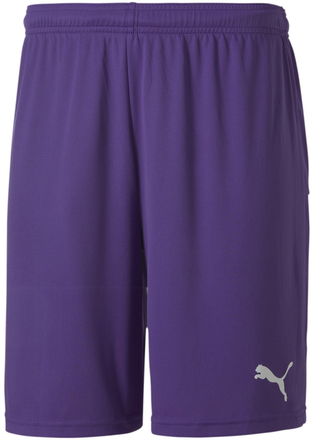 Puma Herren Short teamGOAL 23 Knit Shorts prism violet ab 13,29 ...