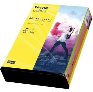 inapa tecno colors A4 80g farbig sortiert 4x50 Blatt ab 12,48 ...