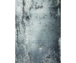 Bresser Background Cloth with Photo Scene 1,8x2,5m BR-F1365 au meilleur ...