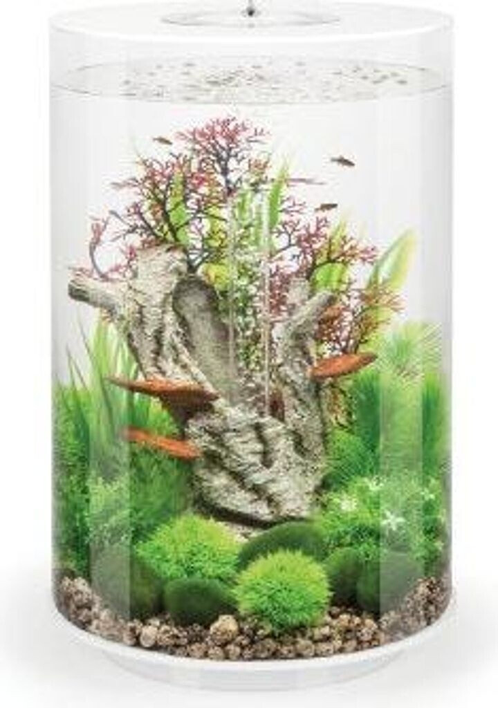 biOrb TUBE 30 MCR (7206) ab 142,34 € | Preisvergleich bei idealo.de