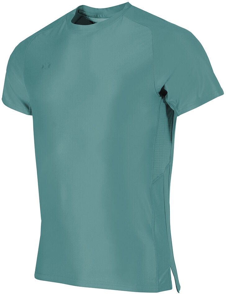 Stanno Functionals Training Tee Funktionsshirt grün (414004-1150) ab 19,49 € | Preisvergleich ...