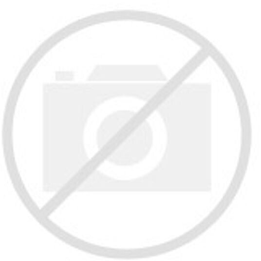 Hansgrohe Focus E2 Griff für Einhebel-Waschtischmischer chrom 98532000 ...