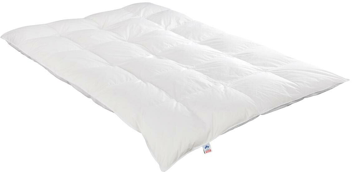 Irisette Daunendecke Emily extra warm Daunen 10% Federn 155x220 cm ab 479,95 € | Preisvergleich ...