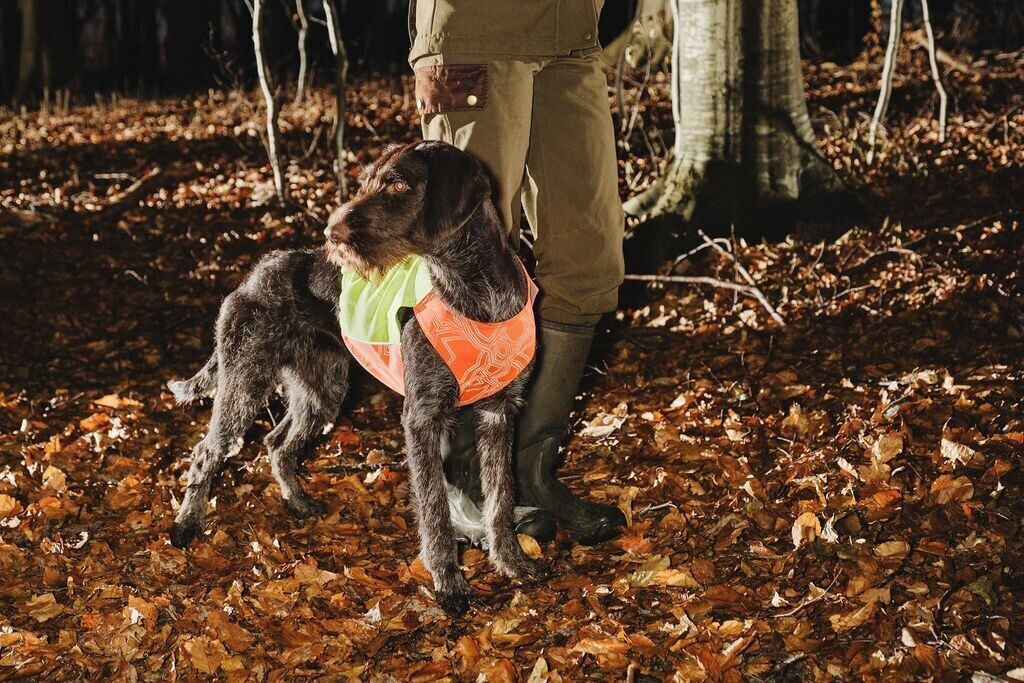 Hurtta Ranger Weste orange/gelb L (933240) ab 42,59 € | Preisvergleich ...