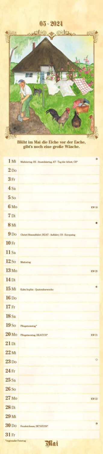 Alpha Edition Streifenplaner Bauernkalender 2024 11,3x49,5cm ab 7,82 ...