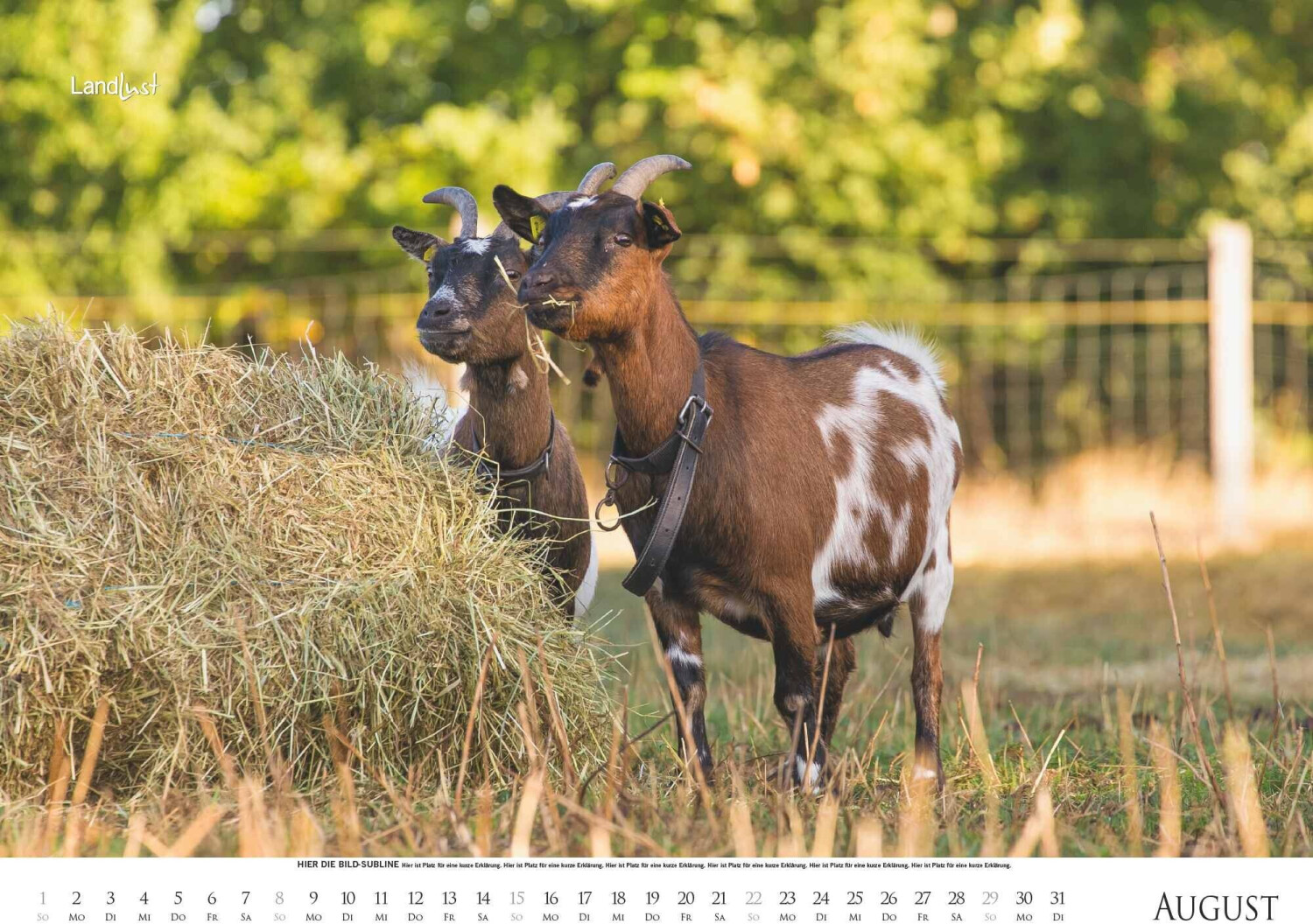 Landlust Landlust Haus- und Hoftiere 2024 ab 14,50 € | Preisvergleich ... Landlust Landlust Haus- und Hoftiere 2024 ab 14,50 € | Preisvergleich ...