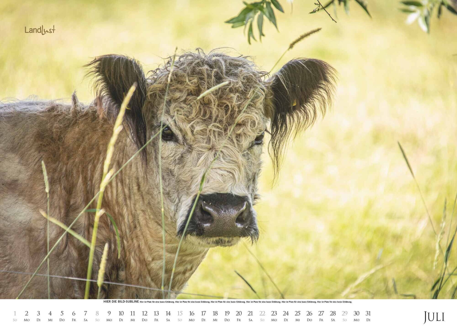 Landlust Landlust Haus- und Hoftiere 2024 ab 14,50 € | Preisvergleich ... Landlust Landlust Haus- und Hoftiere 2024 ab 14,50 € | Preisvergleich ...