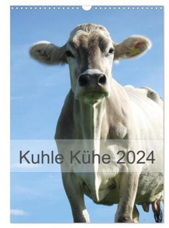 Calvendo Kuhle Kühe 2024 A3 Hoch ab 25,95 € | Preisvergleich bei idealo.de