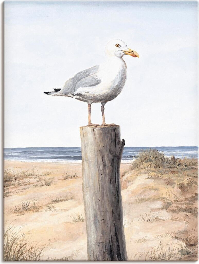 Art-Land Möwe 45x60cm ab 36,37 € | Preisvergleich bei idealo.de