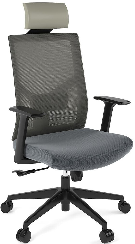 Flexispot BS12 au meilleur prix sur idealo.fr