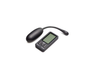 XR Brands BANG! Vibro Egg + Remote Control ab 37,95 € | Preisvergleich ...