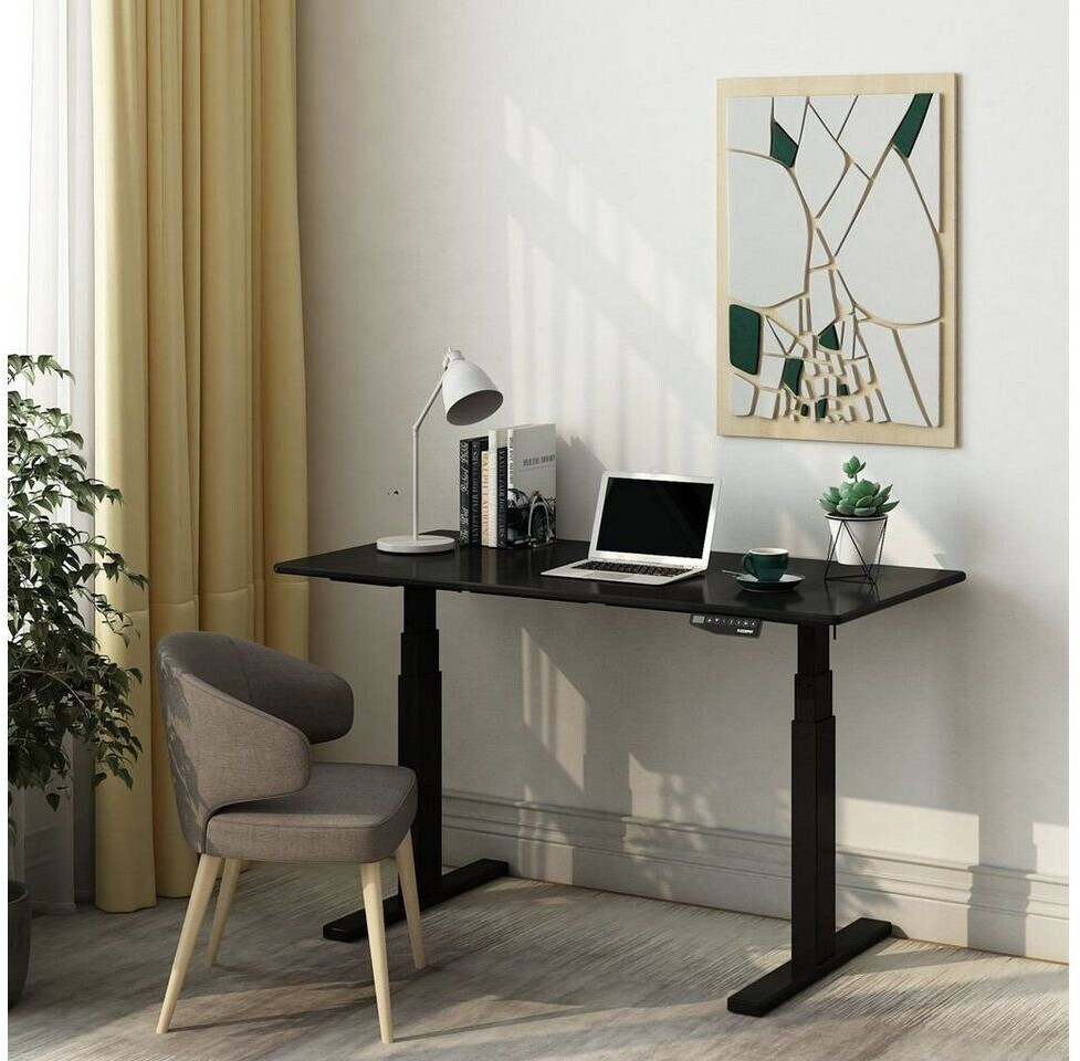 Flexispot E6 120x60cm schwarz ab 359,99 € | Preisvergleich bei idealo.de
