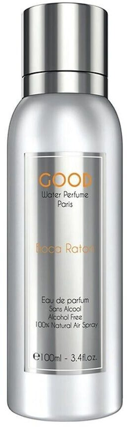Good Water Perfume Boca Raton Eau de Parfum (100ml) ab 14,99 ...