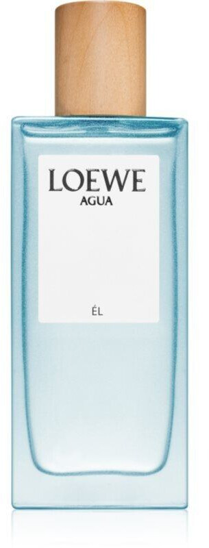 Loewe Agua Él Eau de Toilette (75ml) ab 99,50 € | Preisvergleich bei ...