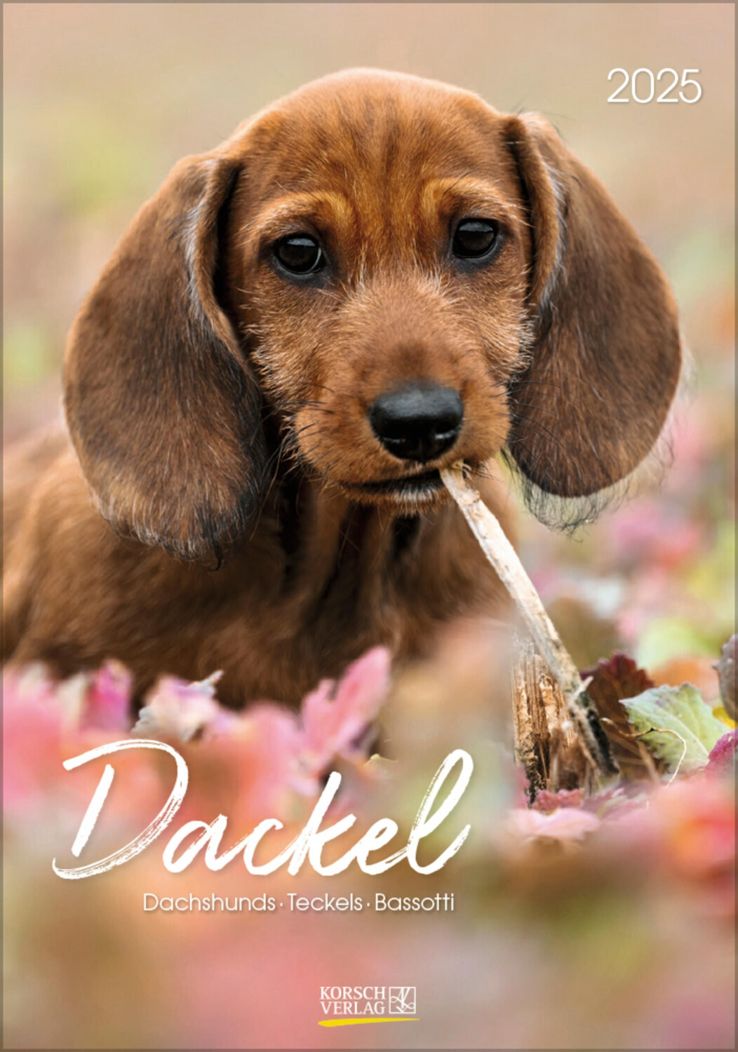 Korsch Verlag Dackel 2025 23,5x33,5cm ab 10,21 € | Preisvergleich bei ...