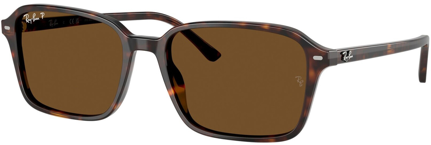 Ray-Ban Raimond RB2231 ab € 113,00 | Preisvergleich bei idealo.at