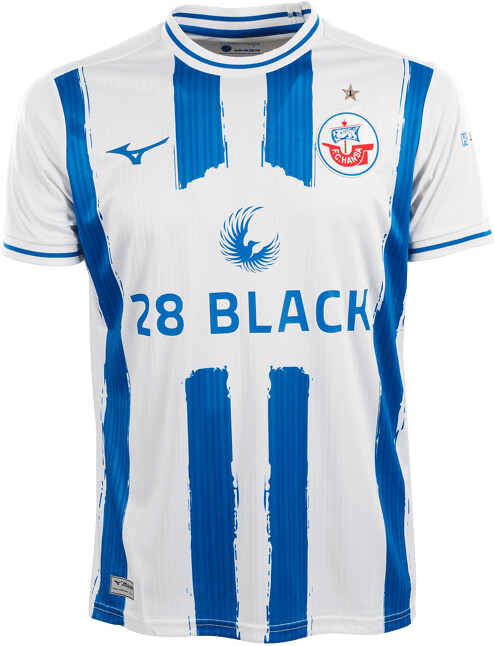 Mizuno Hansa Rostock Auswärtstrikot Kinder 2024/2025 ab 48,96 ...