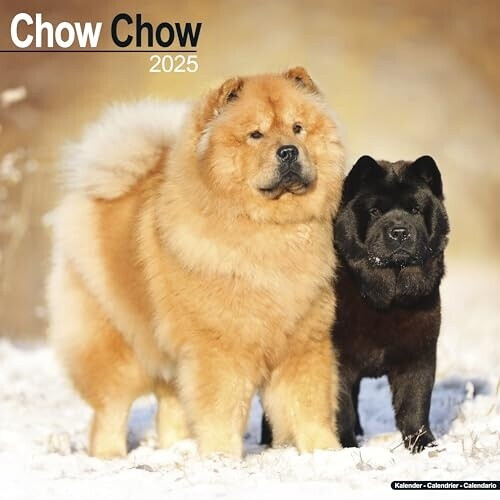 BrownTrout Chow Chow 2025 16-Monatskalender ab 6,80 € | Preisvergleich ...