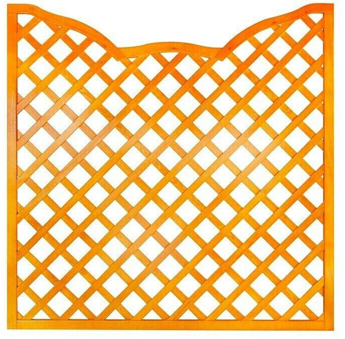 Andrewex Sichtschutzelement Calais 2 180 x 180 cm Mit Bogen Pinie ab ...