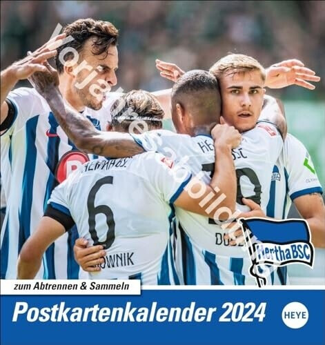 Athesia Verlag Hertha BSC Postkartenkalender 2025 ab 7,99 ...