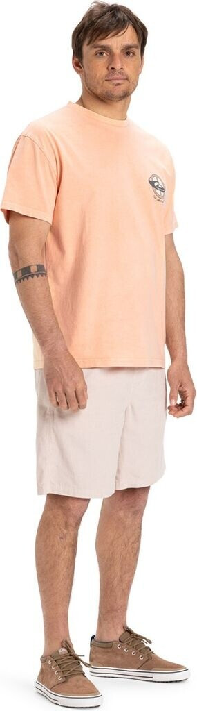 Quiksilver Taxer Cord WS Shorts beige windchime ab 43,99 ...