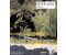Buy Phaidon Peter Doig (Kitty Scott, Adrian Searle, Catherine Grenier ...