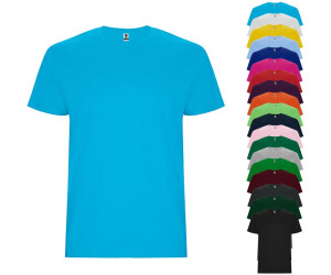 Roly Stafford T-Shirt Enzyme Washed (CA6681) royal blue desde 9,95 ...