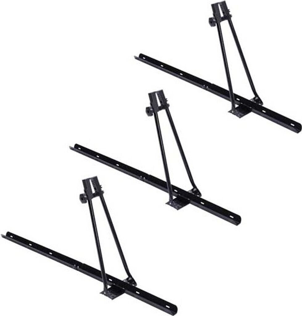 VDP 3x ORION + Dachträger/Relingträger LION2 für Renault Scenic X Mod ...